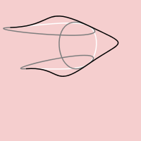 curveTightness(tightness) | ProcessingJS | Programación de computadoras | Khan Academy